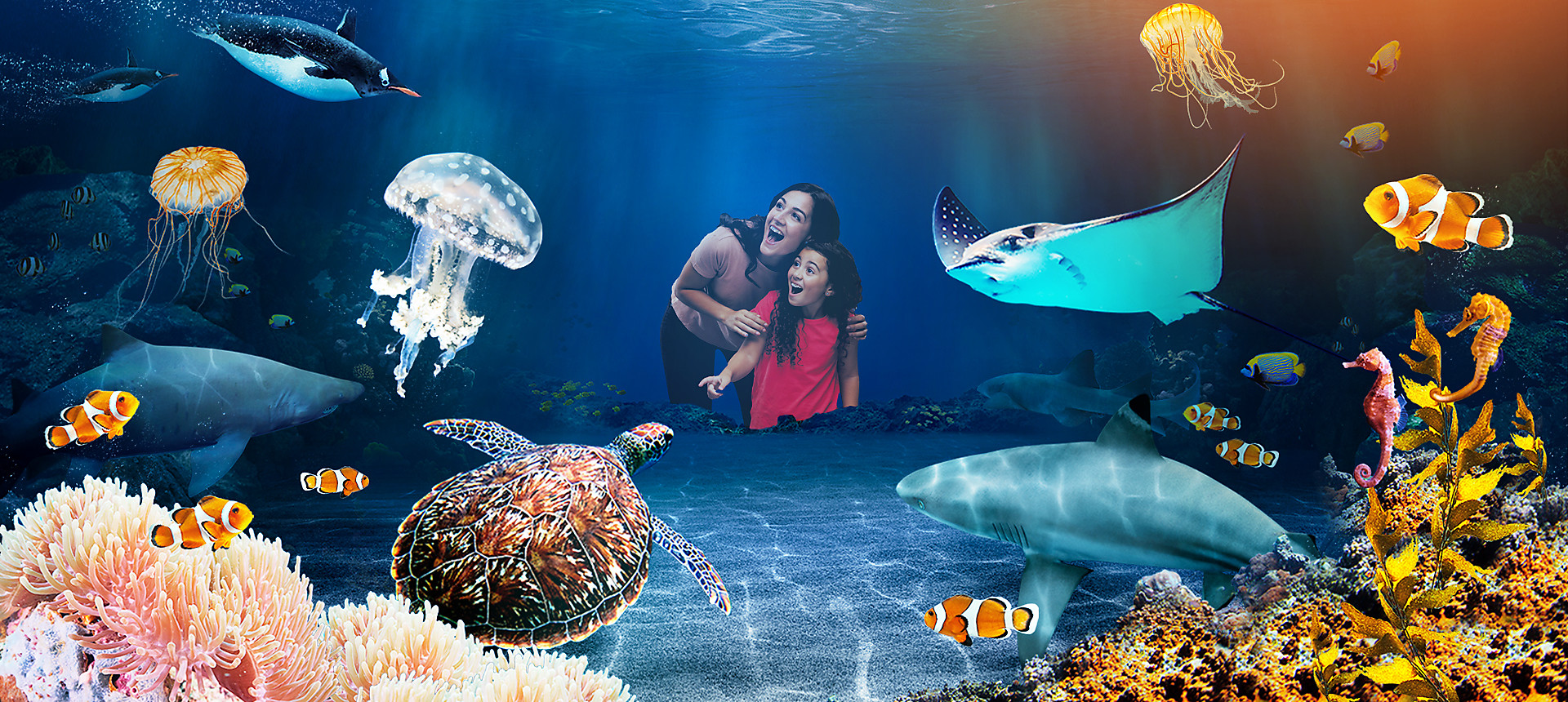 hurghada grand aquarium recenze | Nile Voyage Tours